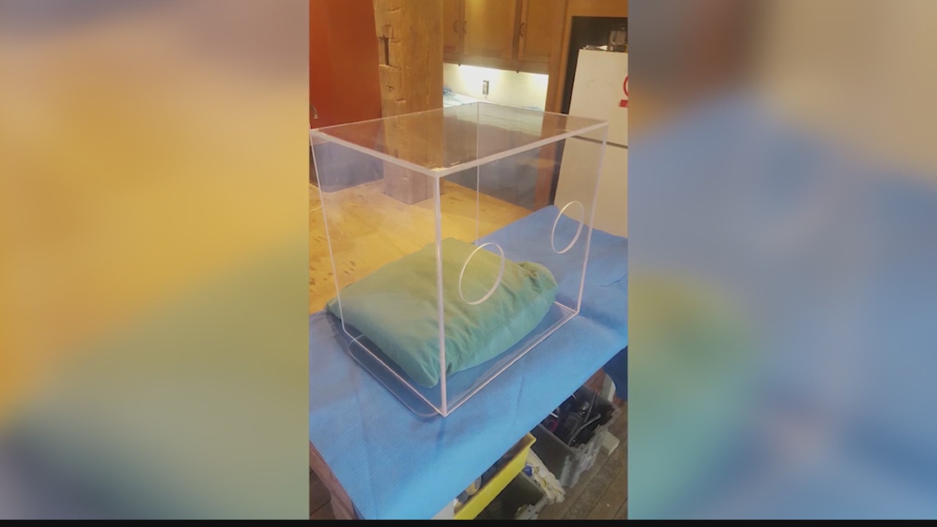 Local man creates intubation boxes for healthcare workers – NEWS10 ABC